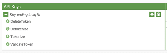 How to Use the TokenEx Test Environment | IXOPAY